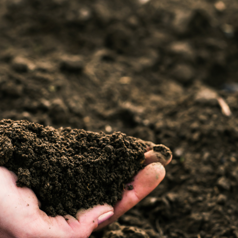 March Newsletter - Klassen Landscape Supply Abbotsford